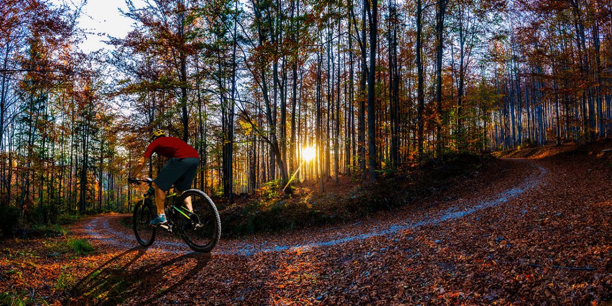Mit Dacia über Stock und Stein: Tipps für Gravel- und Mountain-Bike ...